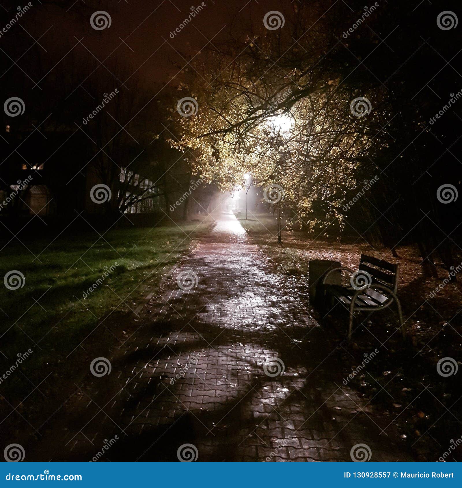 Walking back home at night stock image. Image of night - 130928557