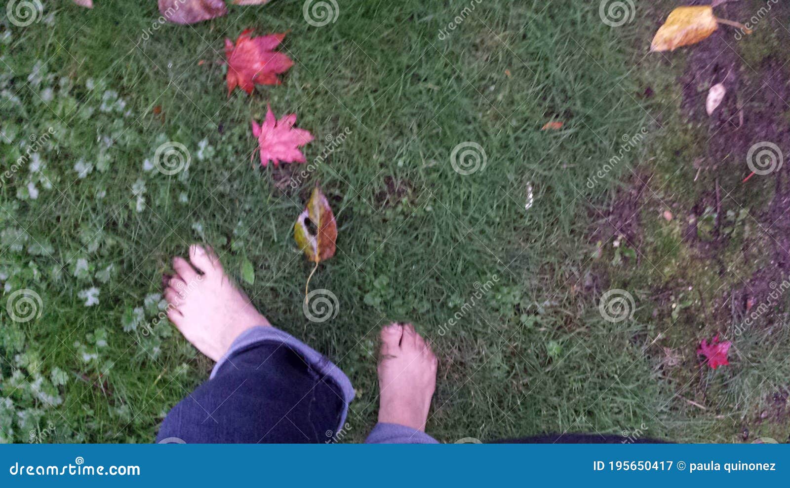 Walking Barefoot Feet on the Ground Grounding Stock Image - Image of ...