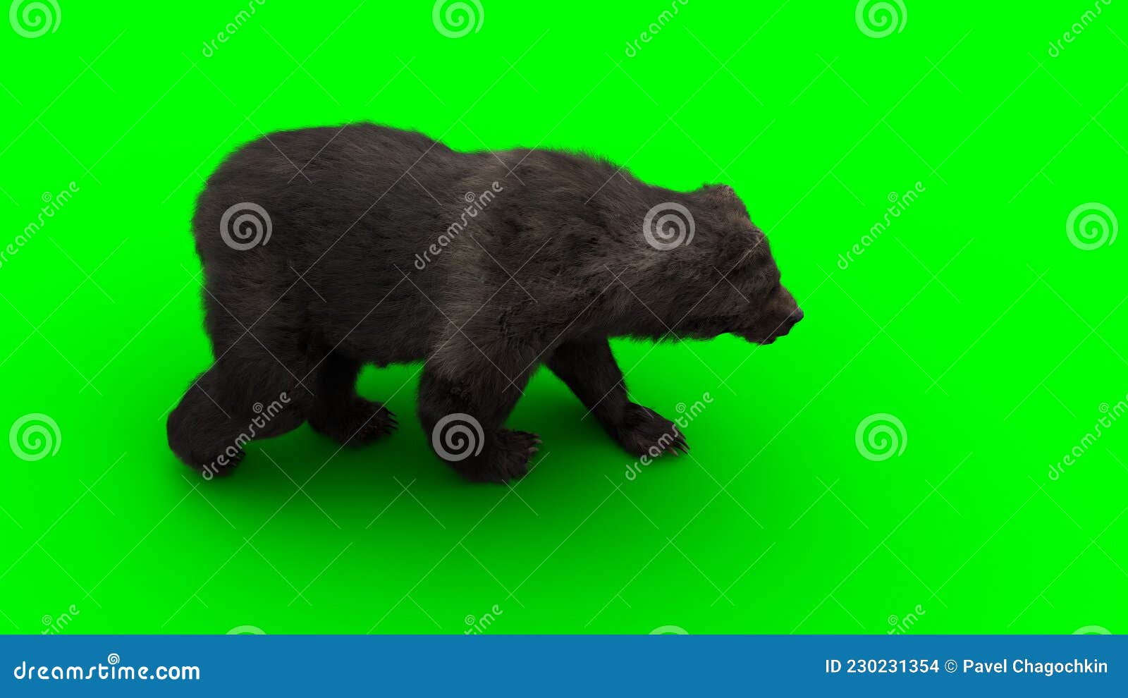 Walking Bear. Green Screen Isolate. 3d Rendering. Stock Illustration ...