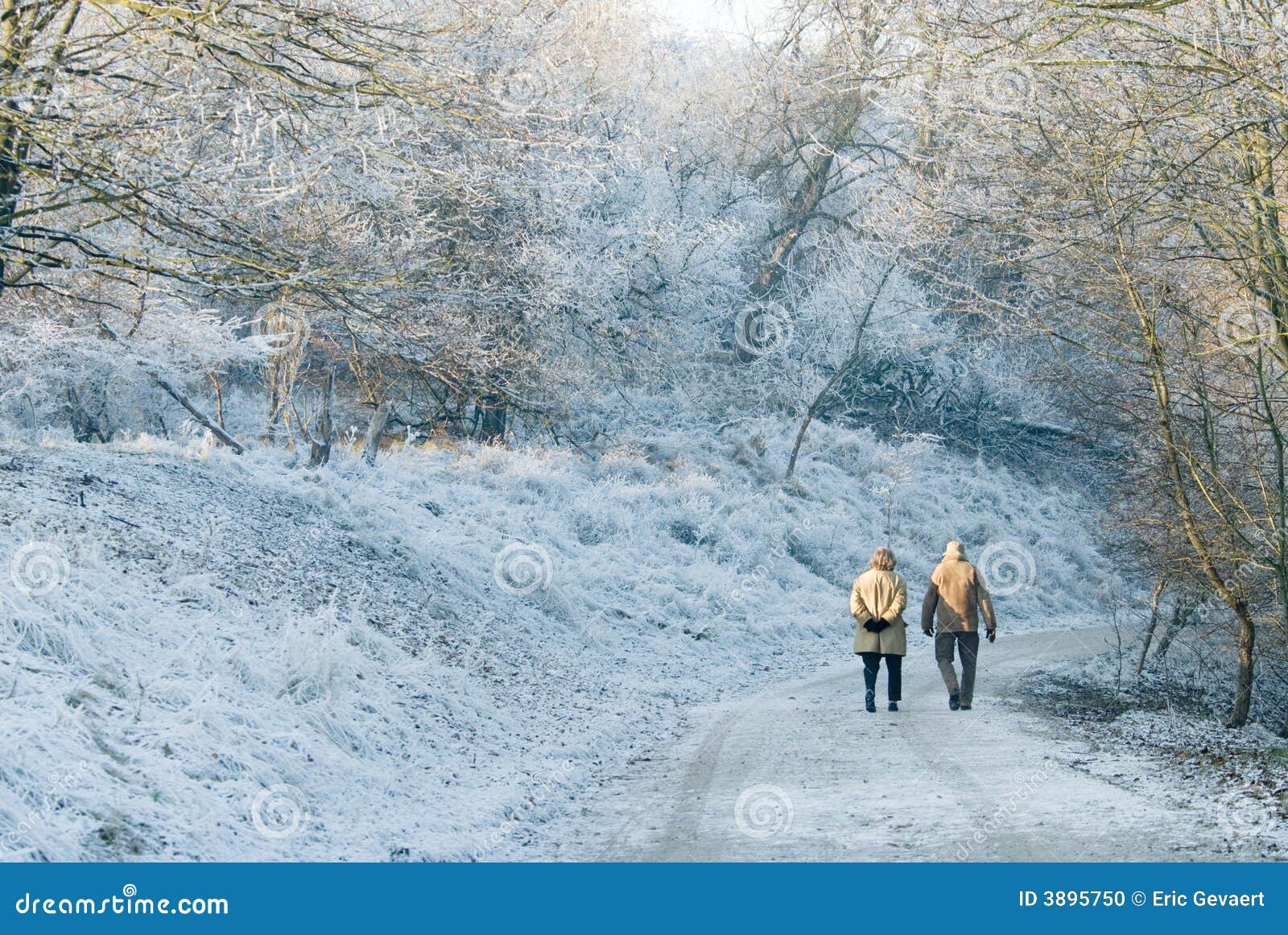 Walking on a Beautiful Day in Winter Stock Photo - Image of holland ...