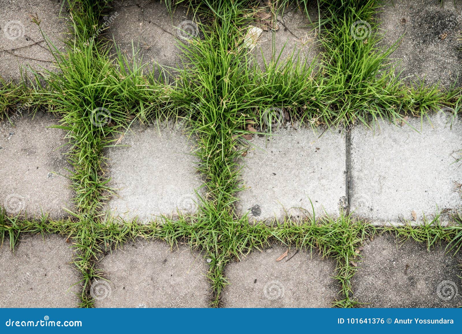 Concrete Block with Green Grass for Texture Background Stock Photo ...