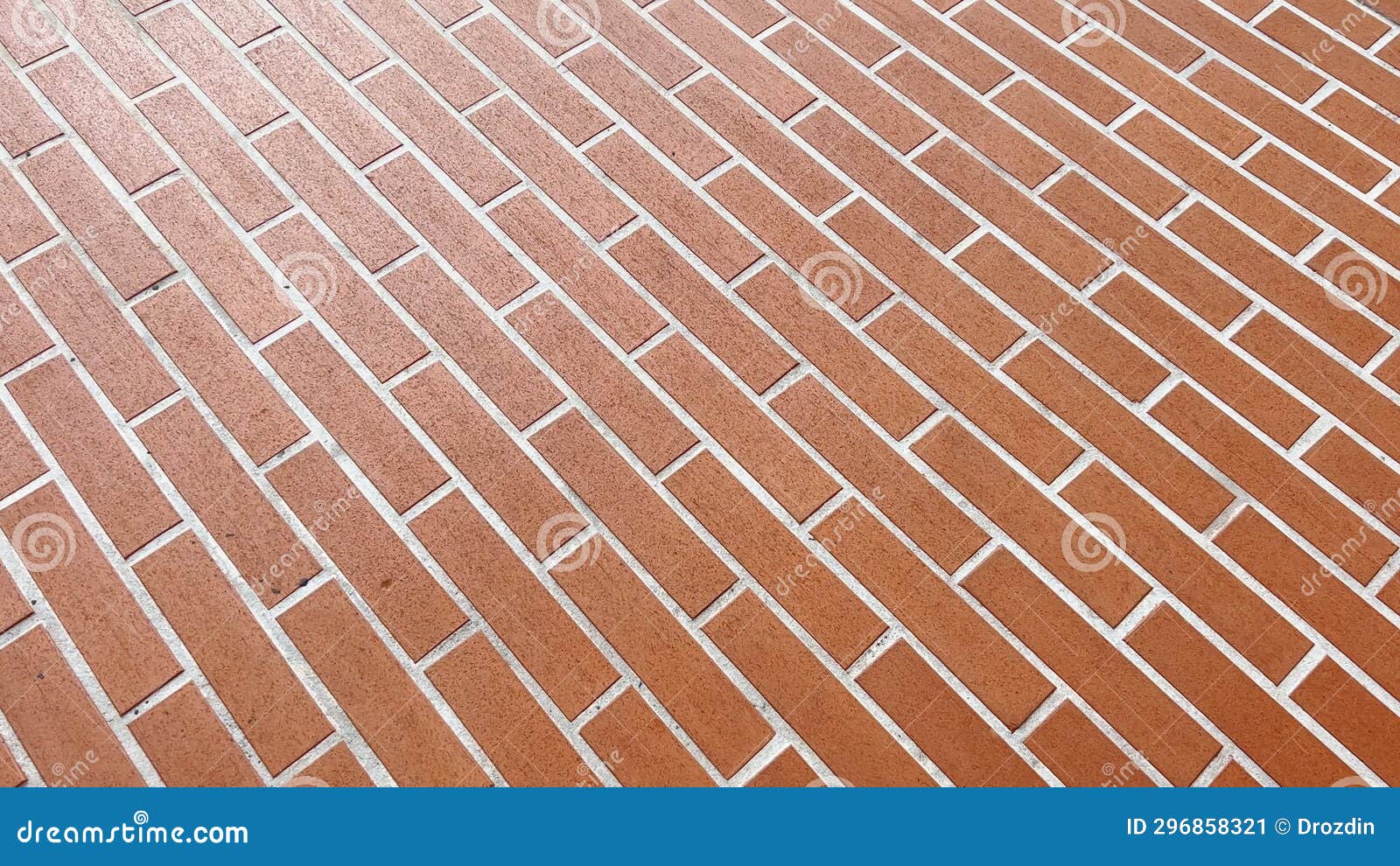 Walking on a Bricked Paved Path Pov Moving Perspective Stock Video ...