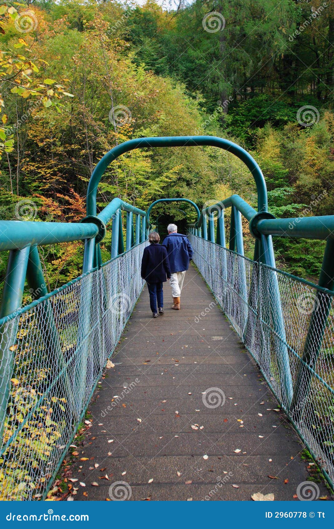 Walking bridge stock photo. Image of holiday, nature, leafy - 2960778