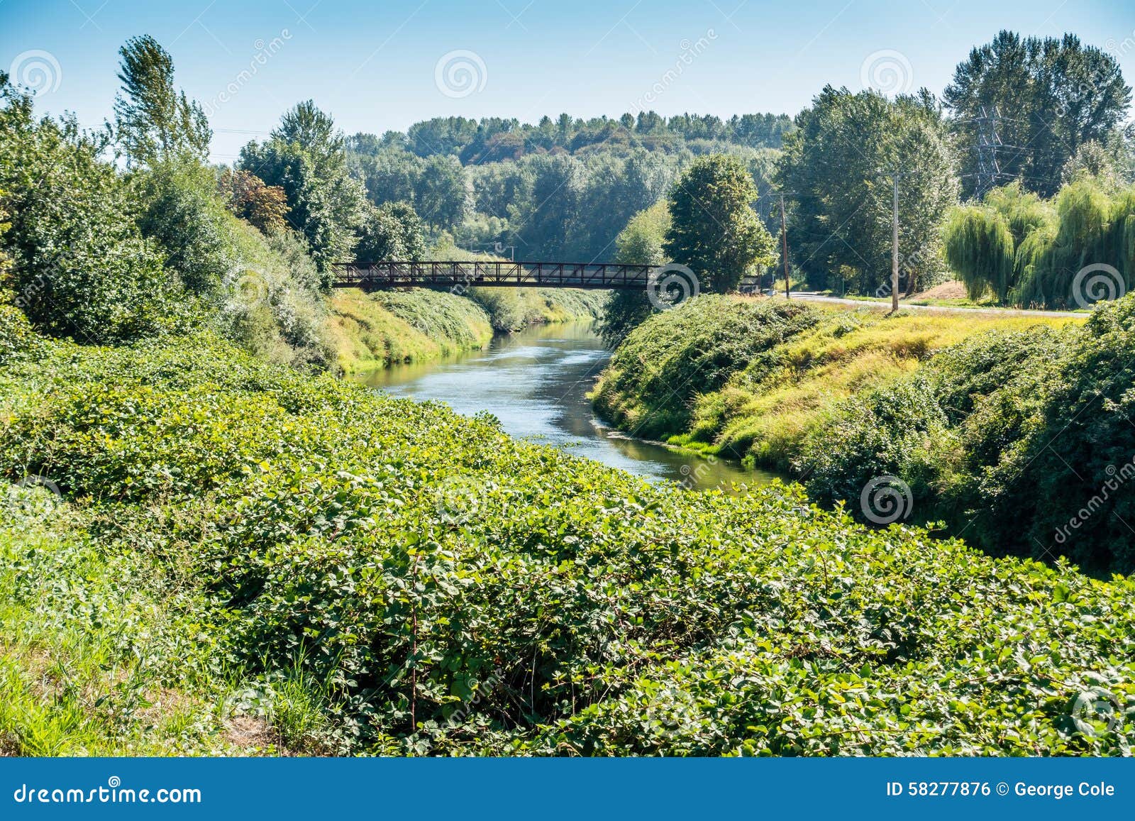 Walking Bridge Over Green River Stock Photo - Image of verdant, metal ...
