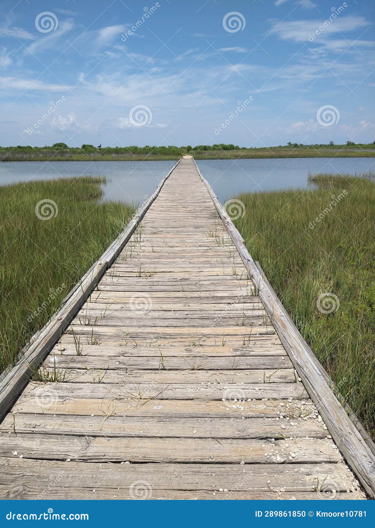 Walking Bridge Over Waterway Stock Photo - Image of wetland, track ...