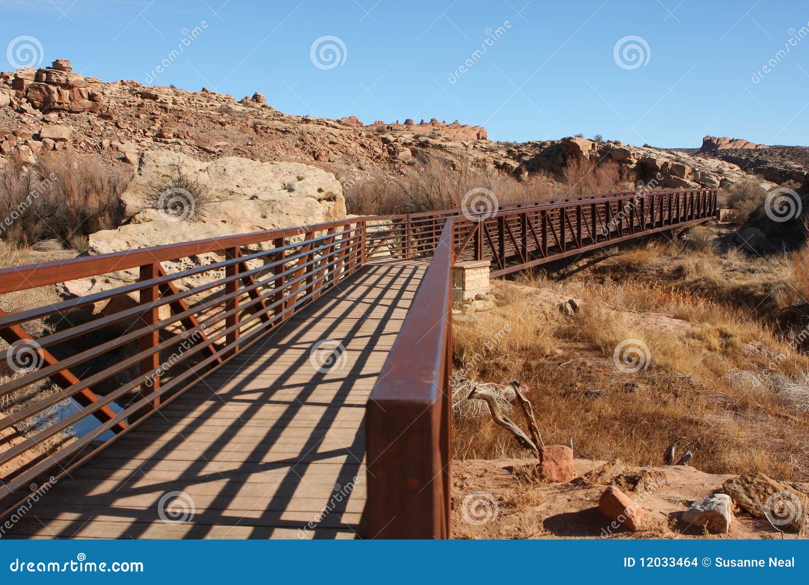 Walking Bridge in Wilderness Stock Photo - Image of cracks, nature ...