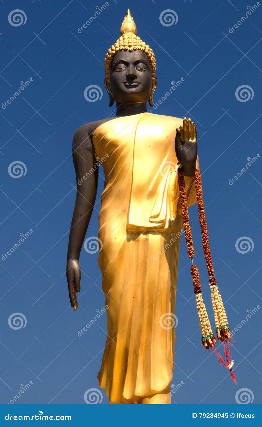 The Walking Buddha stock image. Image of respected, lord - 79284945