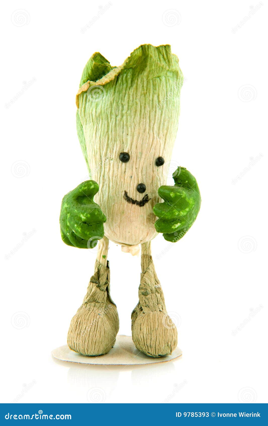 Walking cabbage stock image. Image of face, walking, food - 9785393