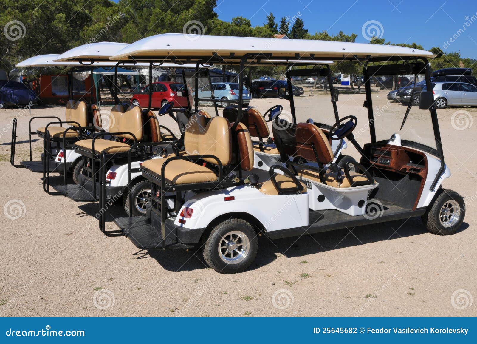 Walking car. stock photo. Image of camp, holiday, wellplanned - 25645682