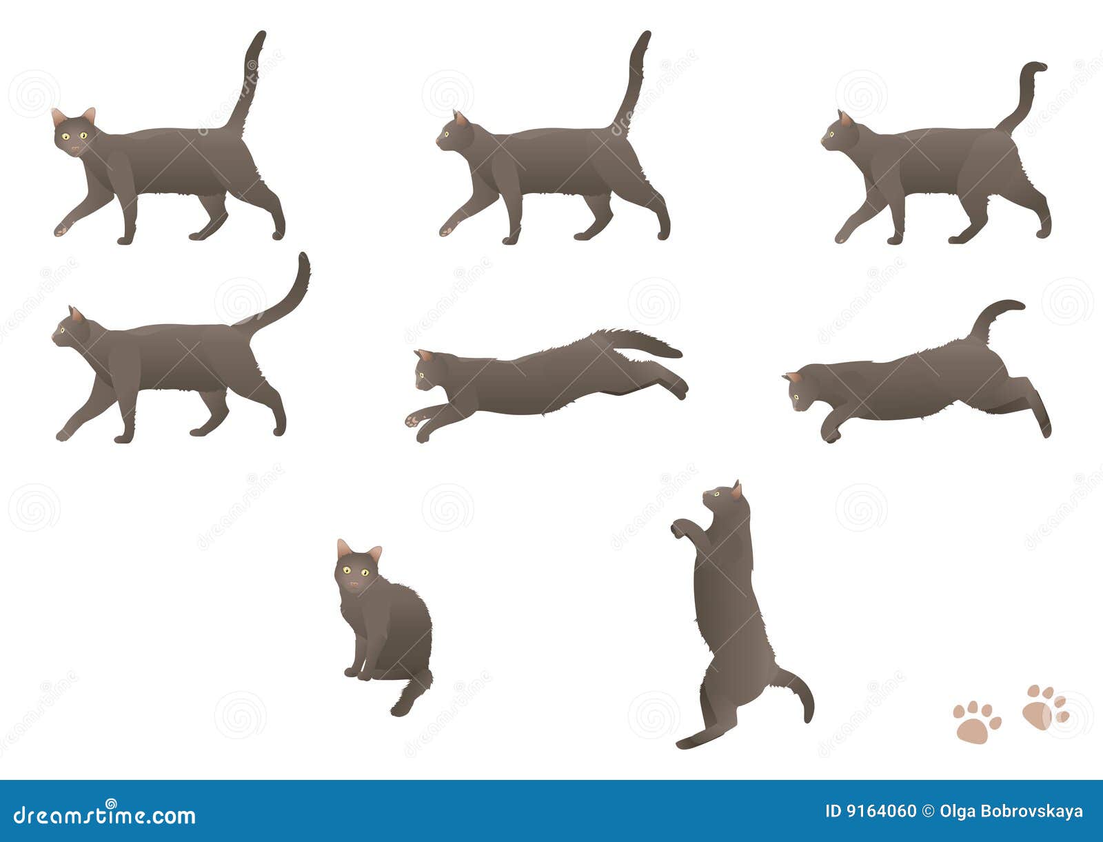 Walking cat stock vector. Illustration of group, trace - 9164060