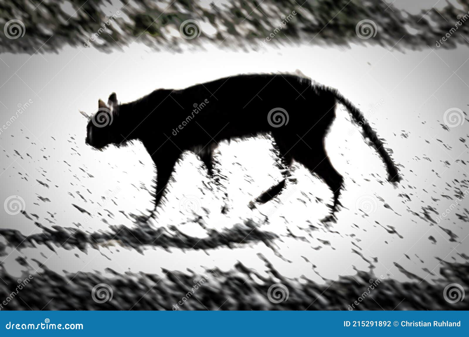 Walking Cat Silhouette with Heat Flicker Stock Photo - Image of ...