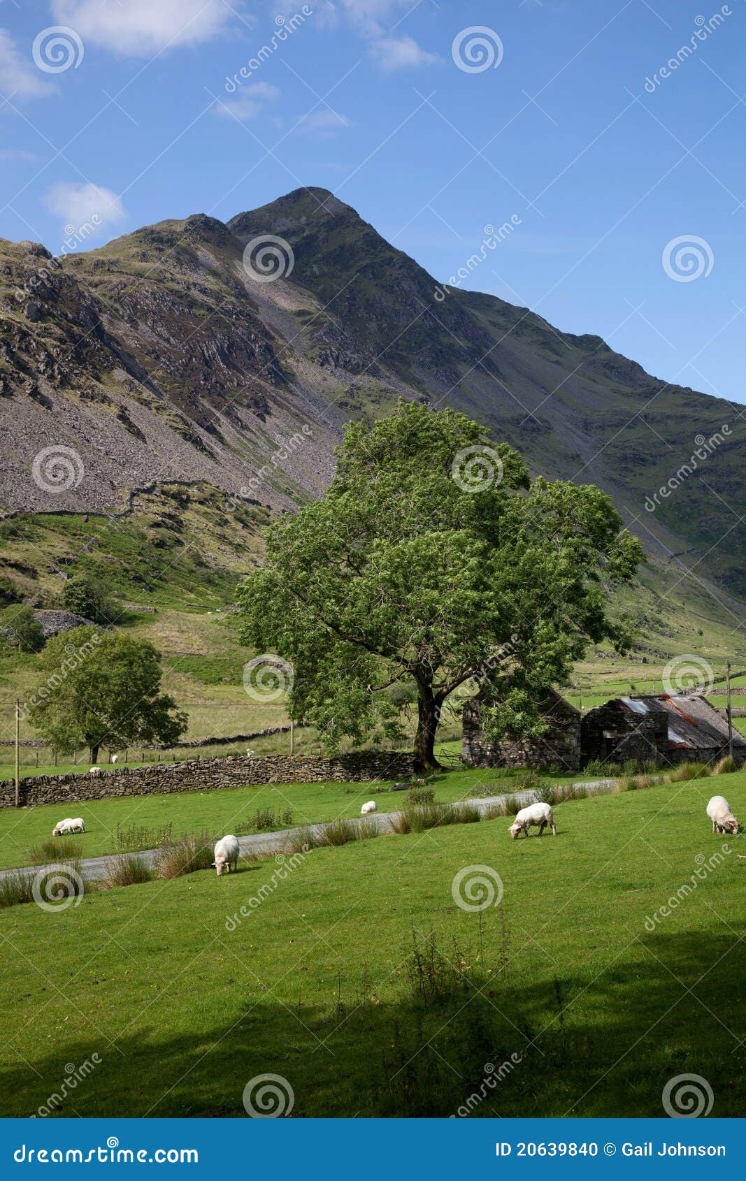 Walking the Cnicht stock photo. Image of ruin, walking - 20639840