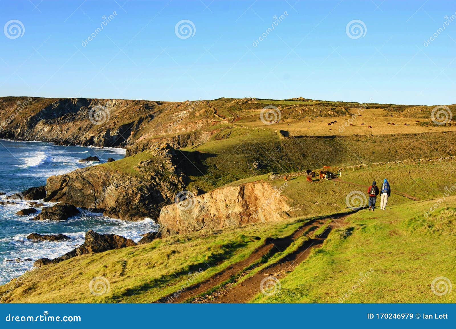 Walking on the South West Coastal Path of Cornwall Editorial Stock ...