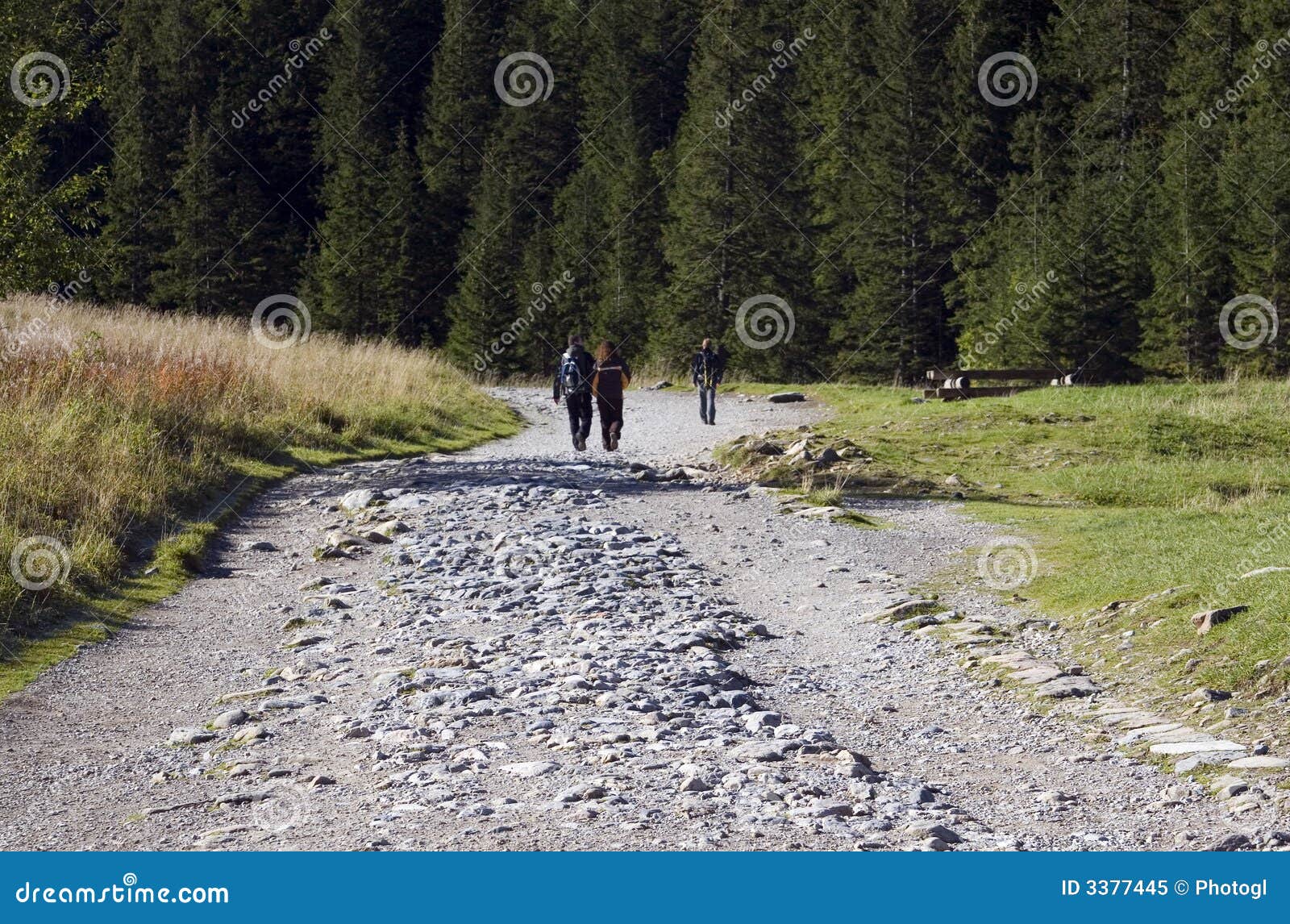 Walking on country track stock image. Image of mountain - 3377445