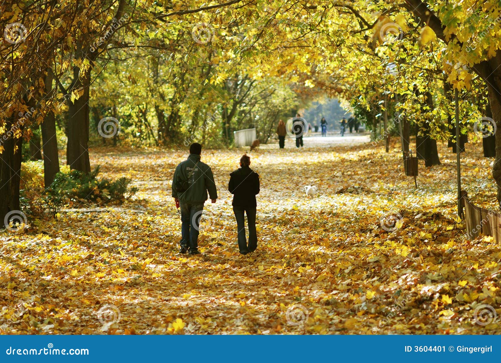 Walking Couple in the Park in Autumn Stock Image - Image of landscape ...