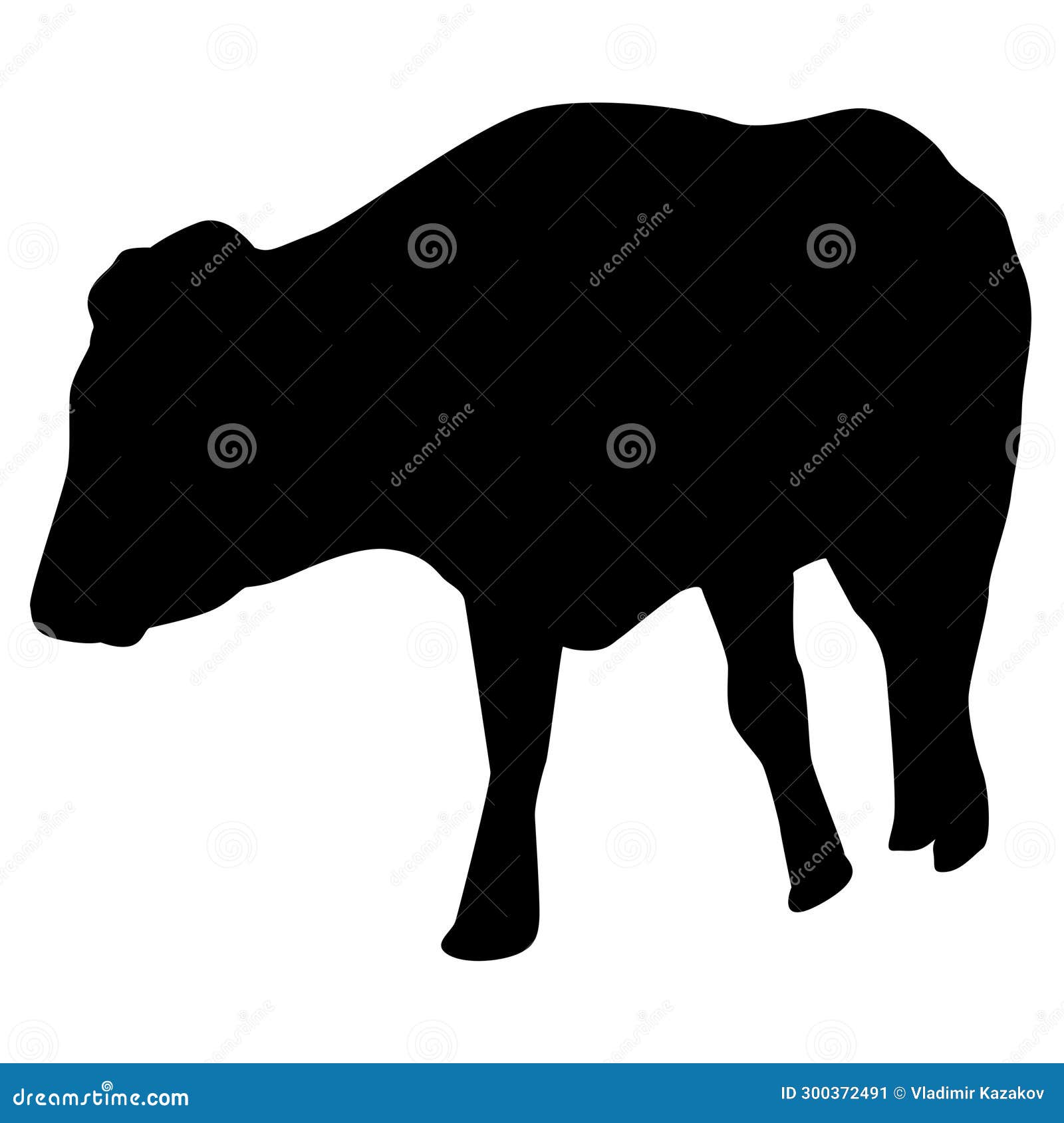 Walking Cow Silhouette Isolated on White Background. Cattle Clipart ...