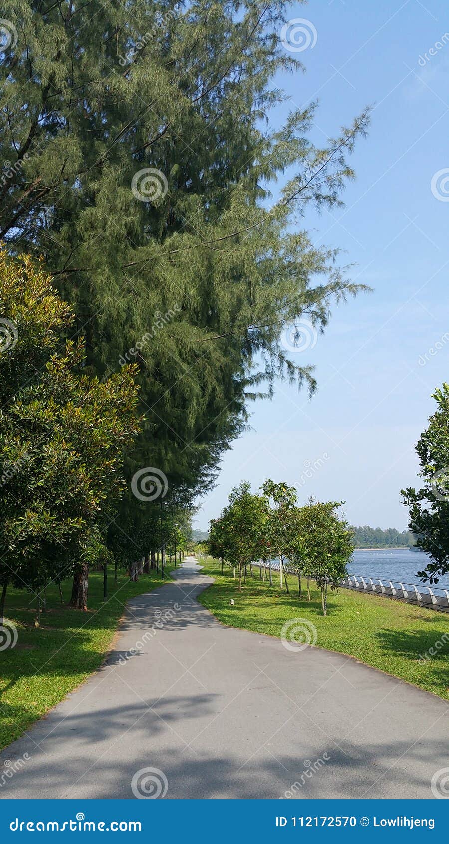Walking and Cycling Path by the River Stock Photo - Image of cycling ...