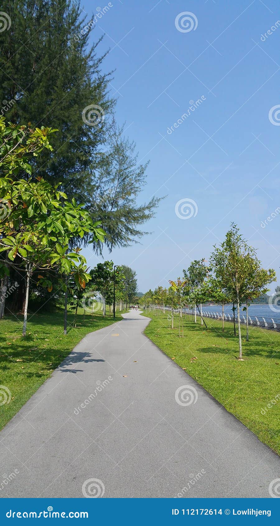 Walking and Cycling Path by the River Stock Photo - Image of hike ...