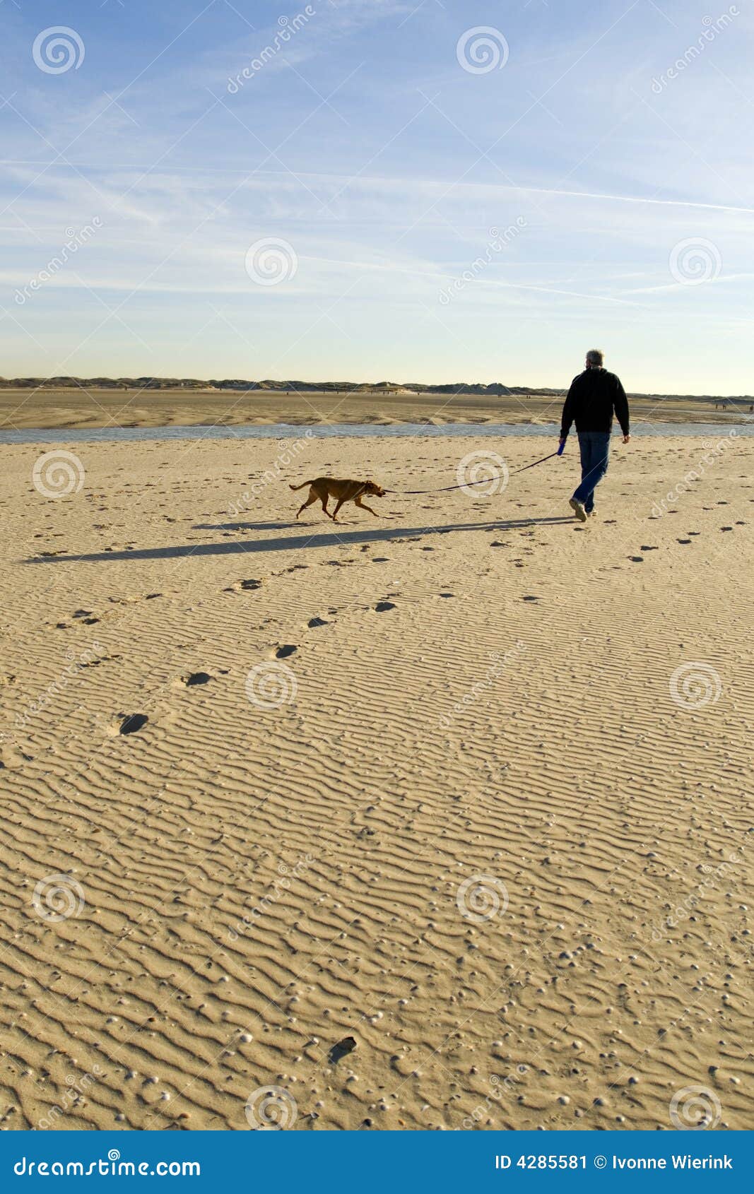 485 Dog Footsteps Stock Photos - Free & Royalty-Free Stock Photos from ...