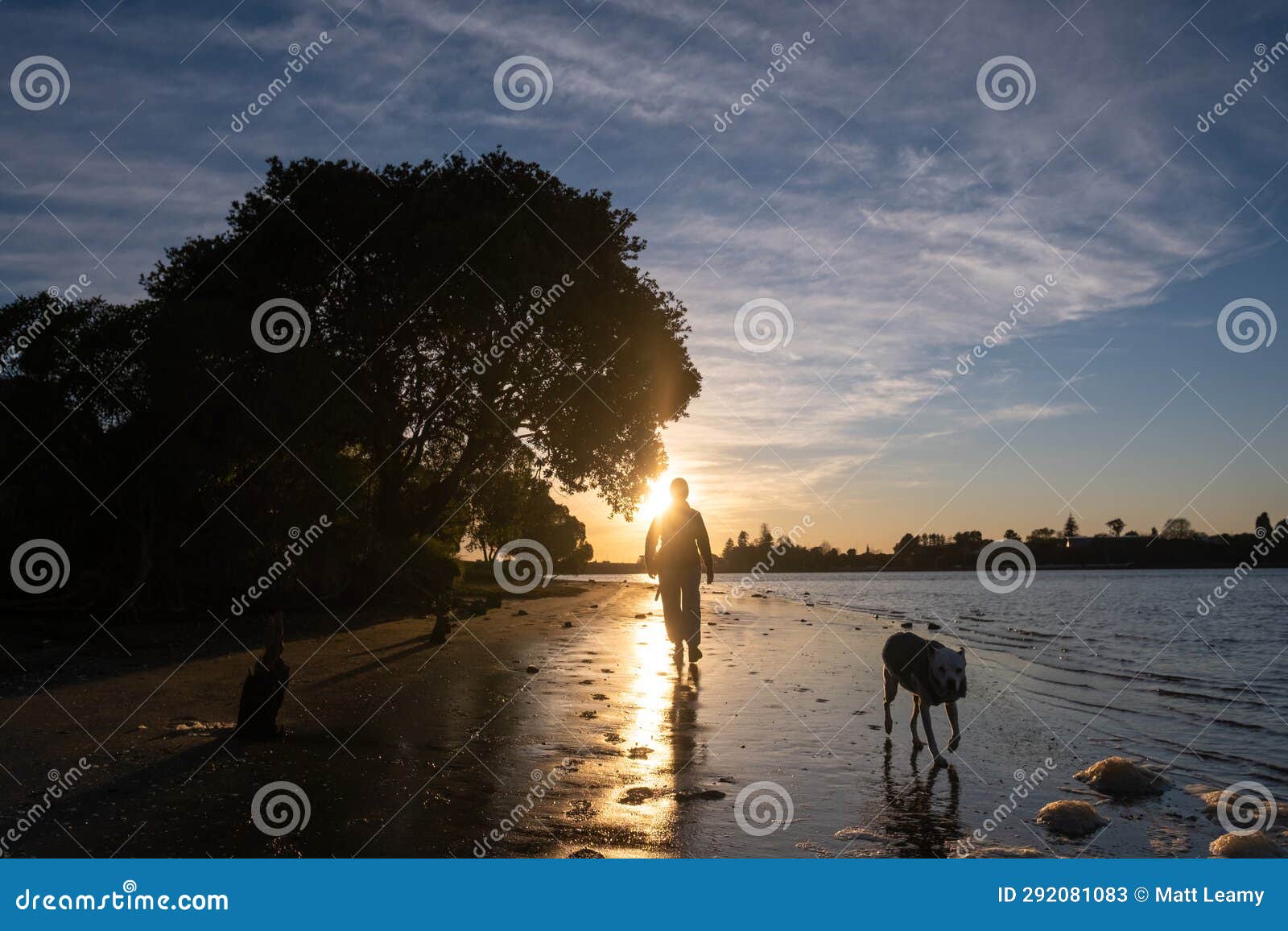 Walking the dog at dawn stock image. Image of leisure - 292081083