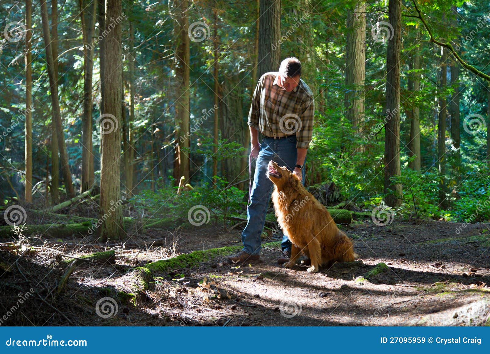 Walking the Dog in the Woods Stock Image - Image of forest, pacific ...