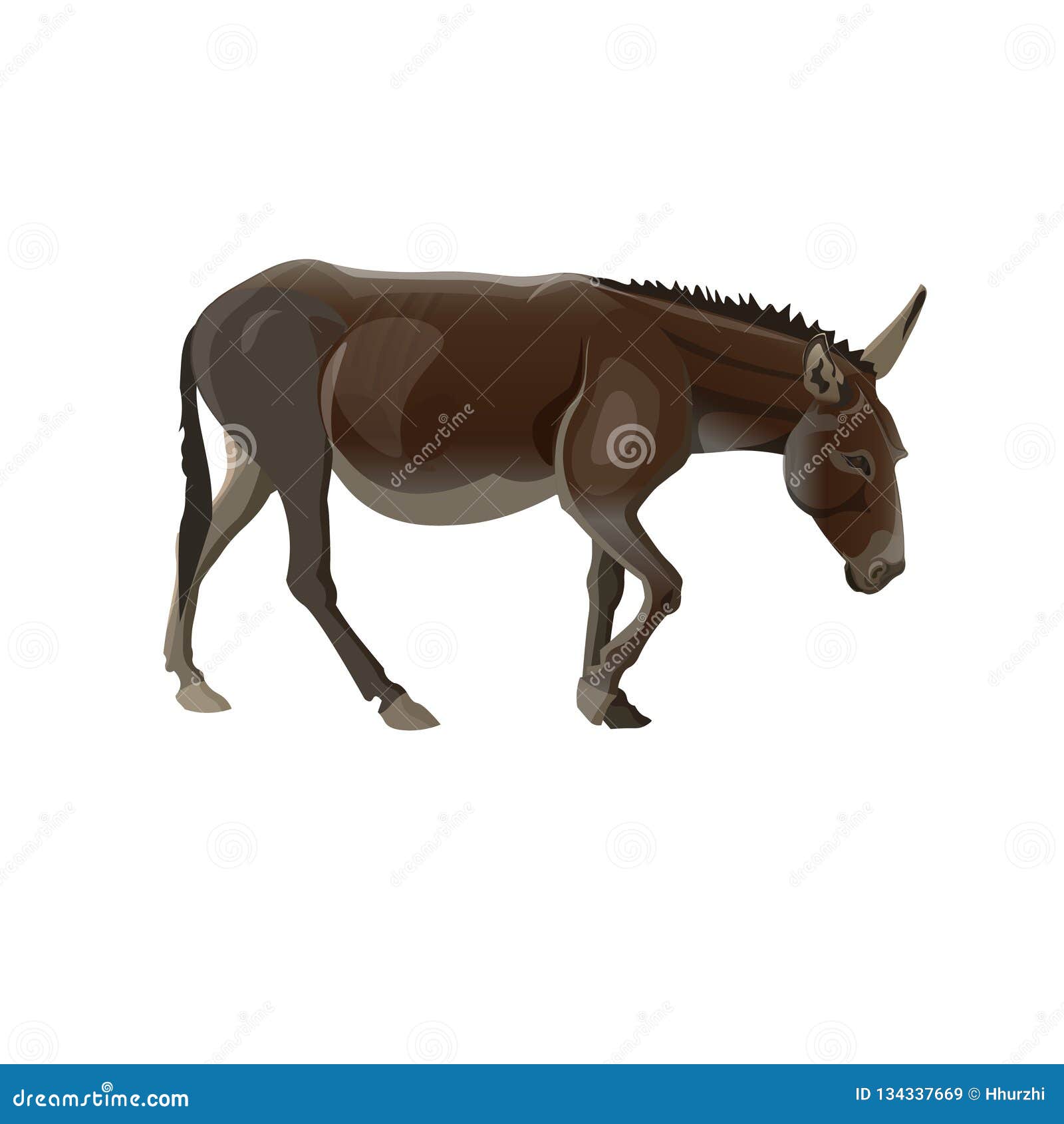 Walking donkey vector stock vector. Illustration of moke - 134337669
