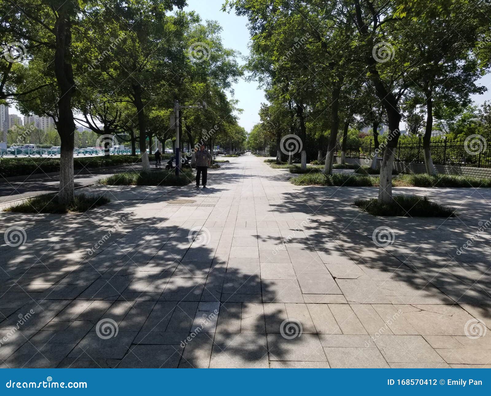 Long Pathway Stock Photo | CartoonDealer.com #52237752