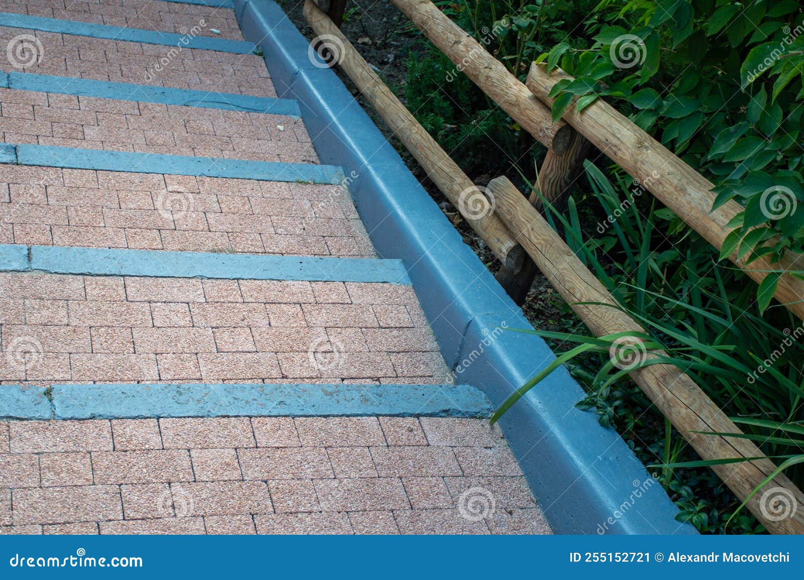 Walking Down Stairs with a Blue Border in the Park Stock Image - Image ...