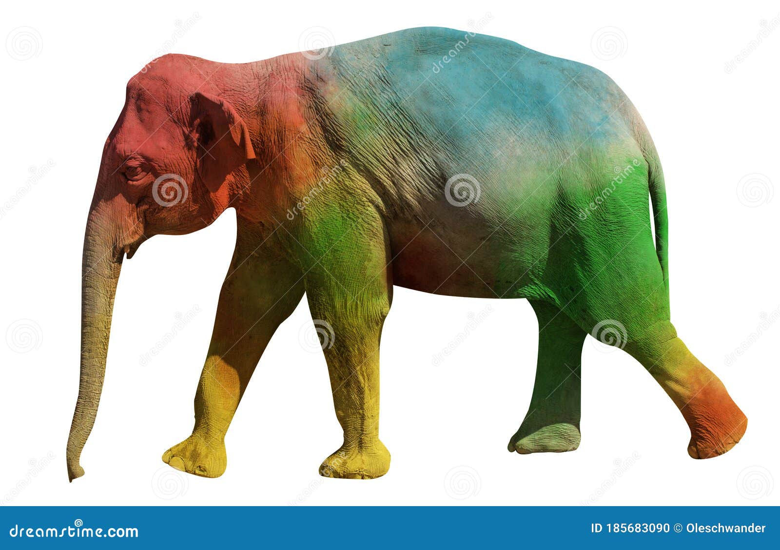 Walking Elephant Painted in Psychedelic Colors Red, Green, Blue and ...