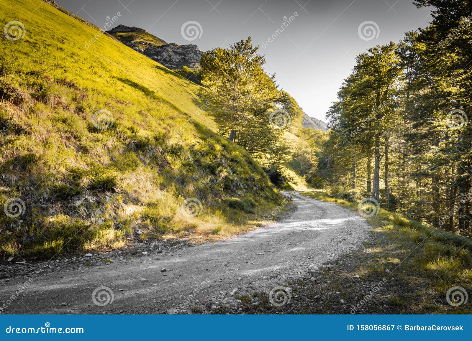 Walking on Empty Mountain Forest Pathway, Alone with Nature Stock Image ...