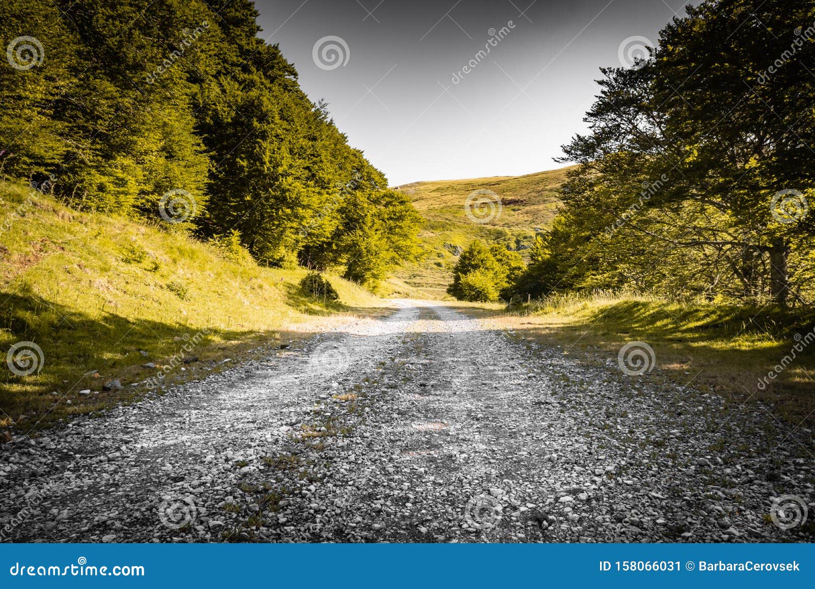 Walking on Empty Mountain Forest Pathway, Alone with Nature Stock Image ...
