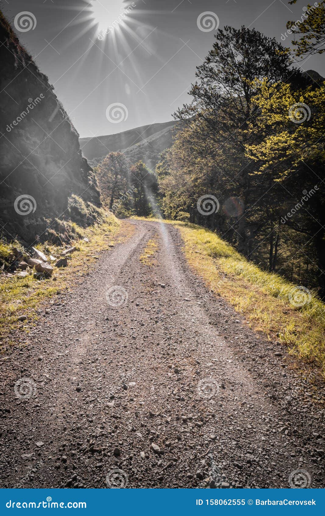 Walking on Empty Mountain Forest Pathway, Alone with Nature Stock Image ...