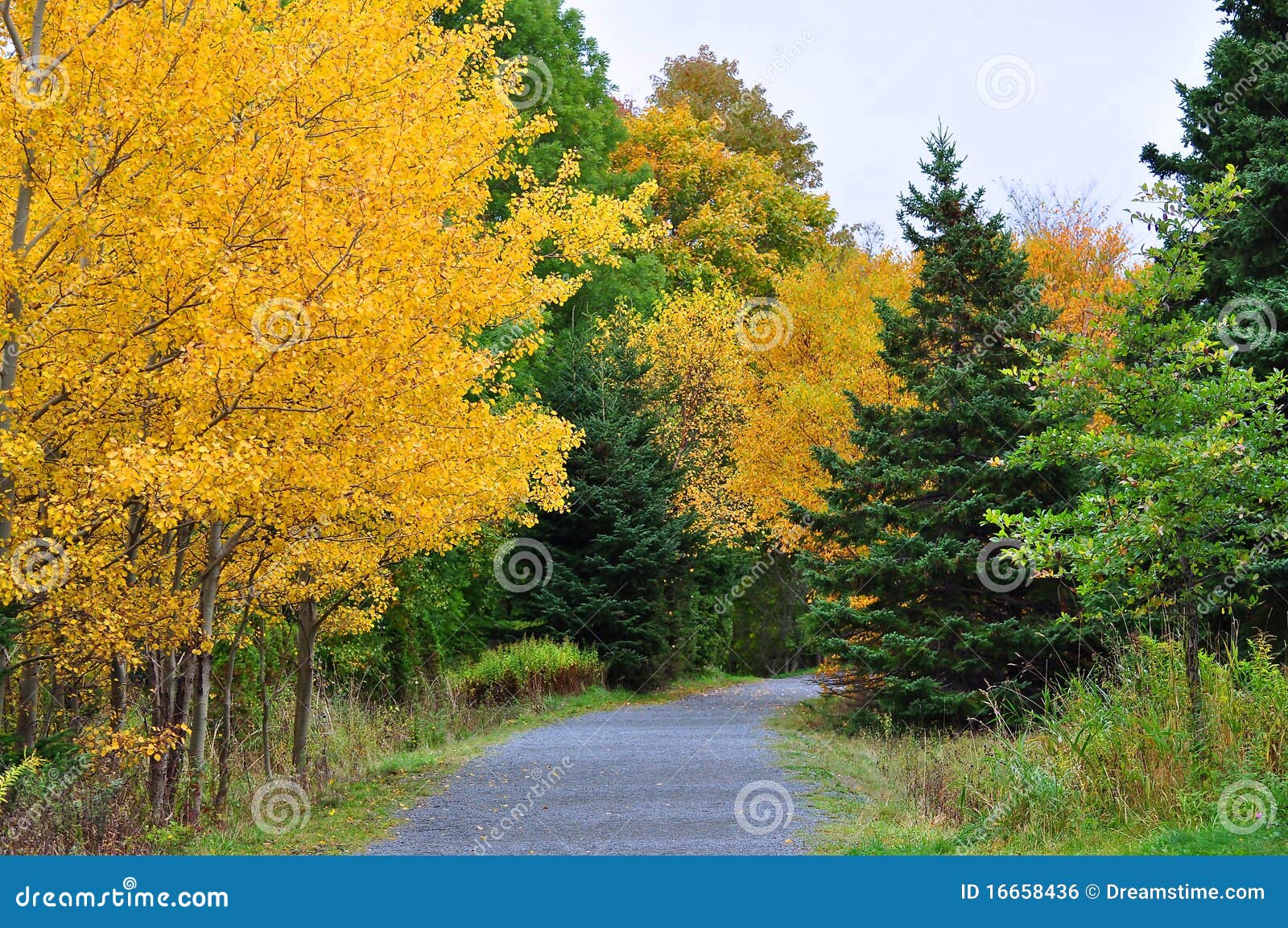 Walking in the Fall stock photo. Image of terrain, dramatic - 16658436