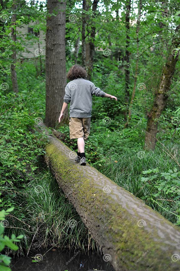 Walking on a fallen tree stock photo. Image of park, people - 15838972