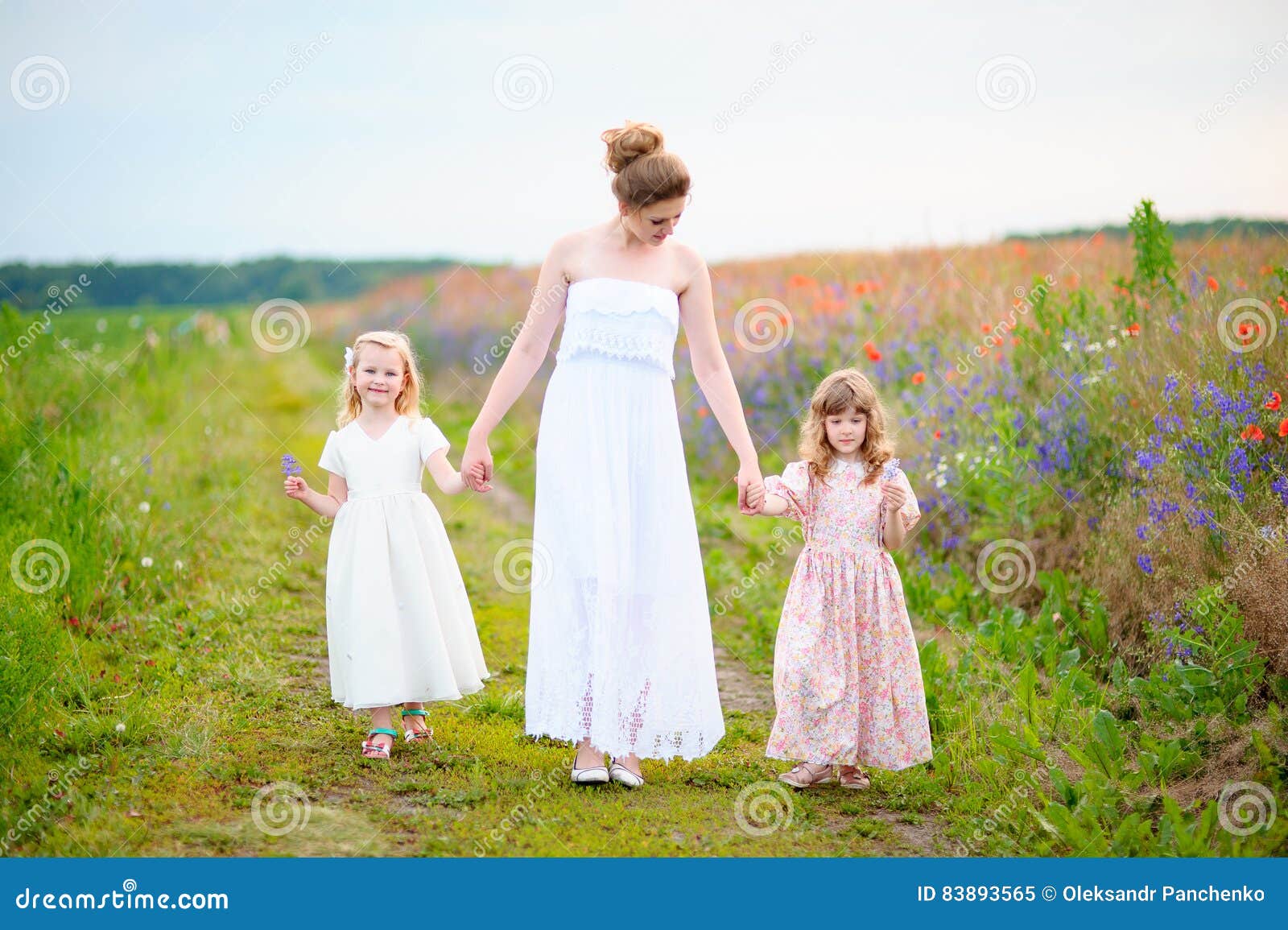 Walking Family through the Spring Field of Wild Flowers Stock Image ...