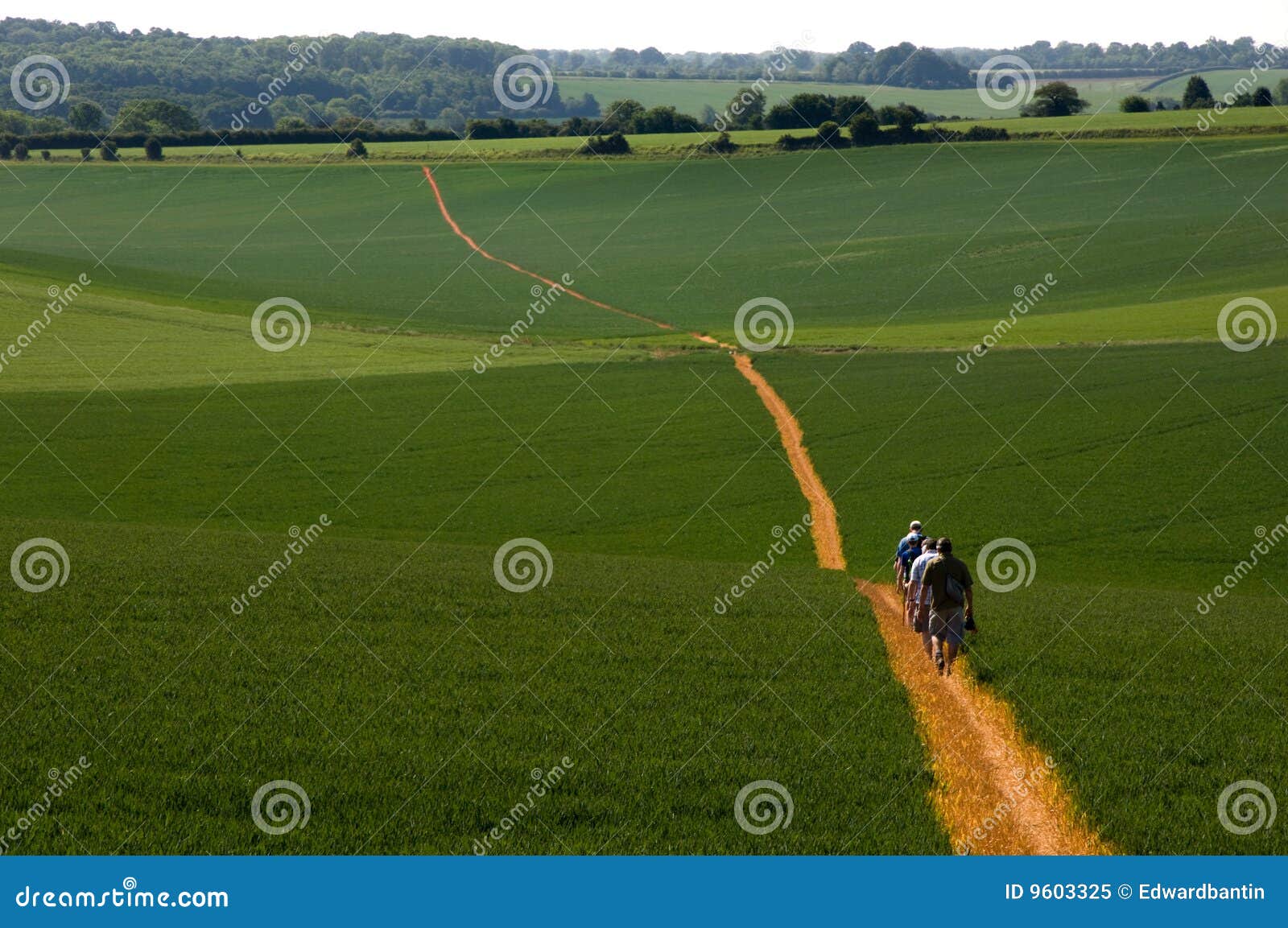 Walking through field stock image. Image of ramble, farming - 9603325