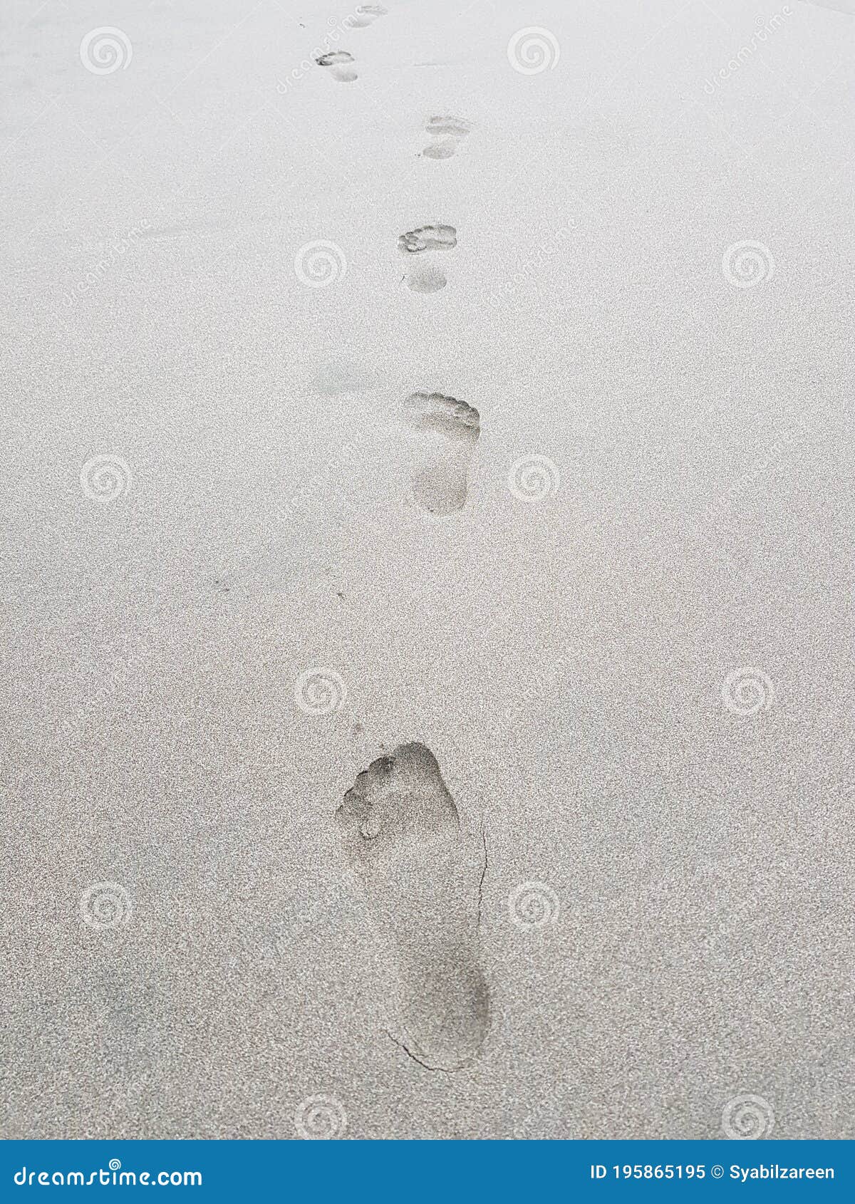 Walking Foot Path With Green Grass And Tiles Background Texture Royalty ...