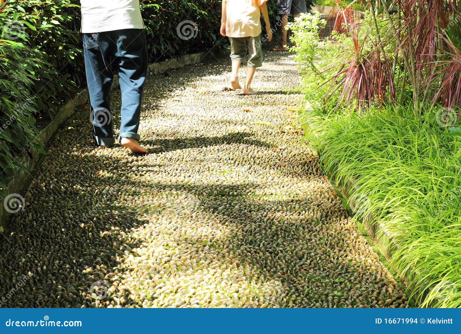 Walking on Foot Reflexology Path Stock Photo - Image of layout, foot ...