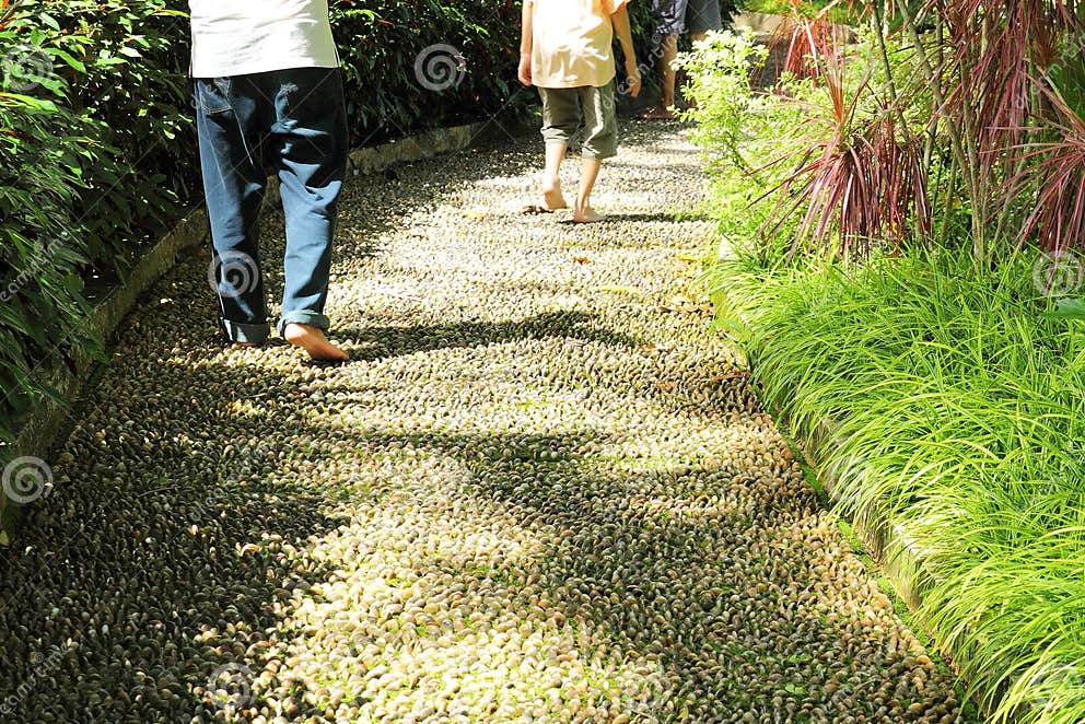 Walking on Foot Reflexology Path Stock Photo - Image of layout, foot ...