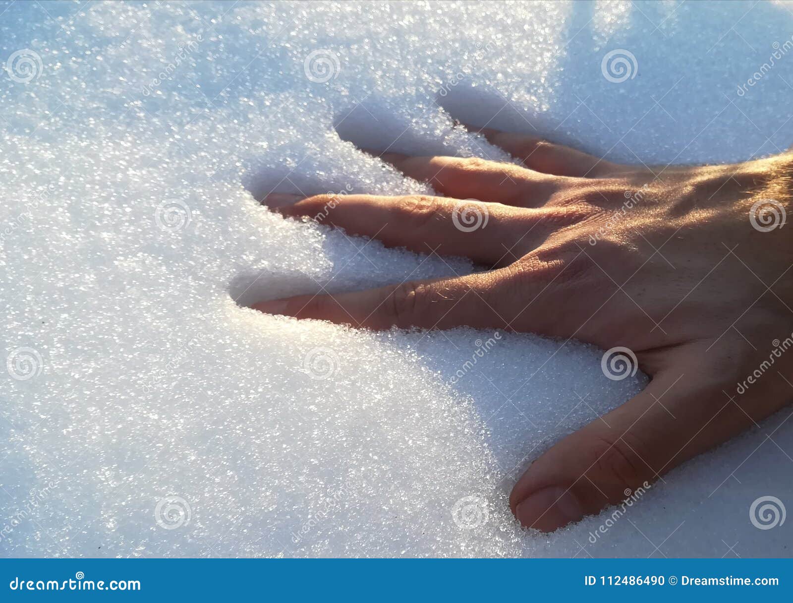 A Hand that Sinks in the Snow. Stock Photo - Image of snow, nature ...