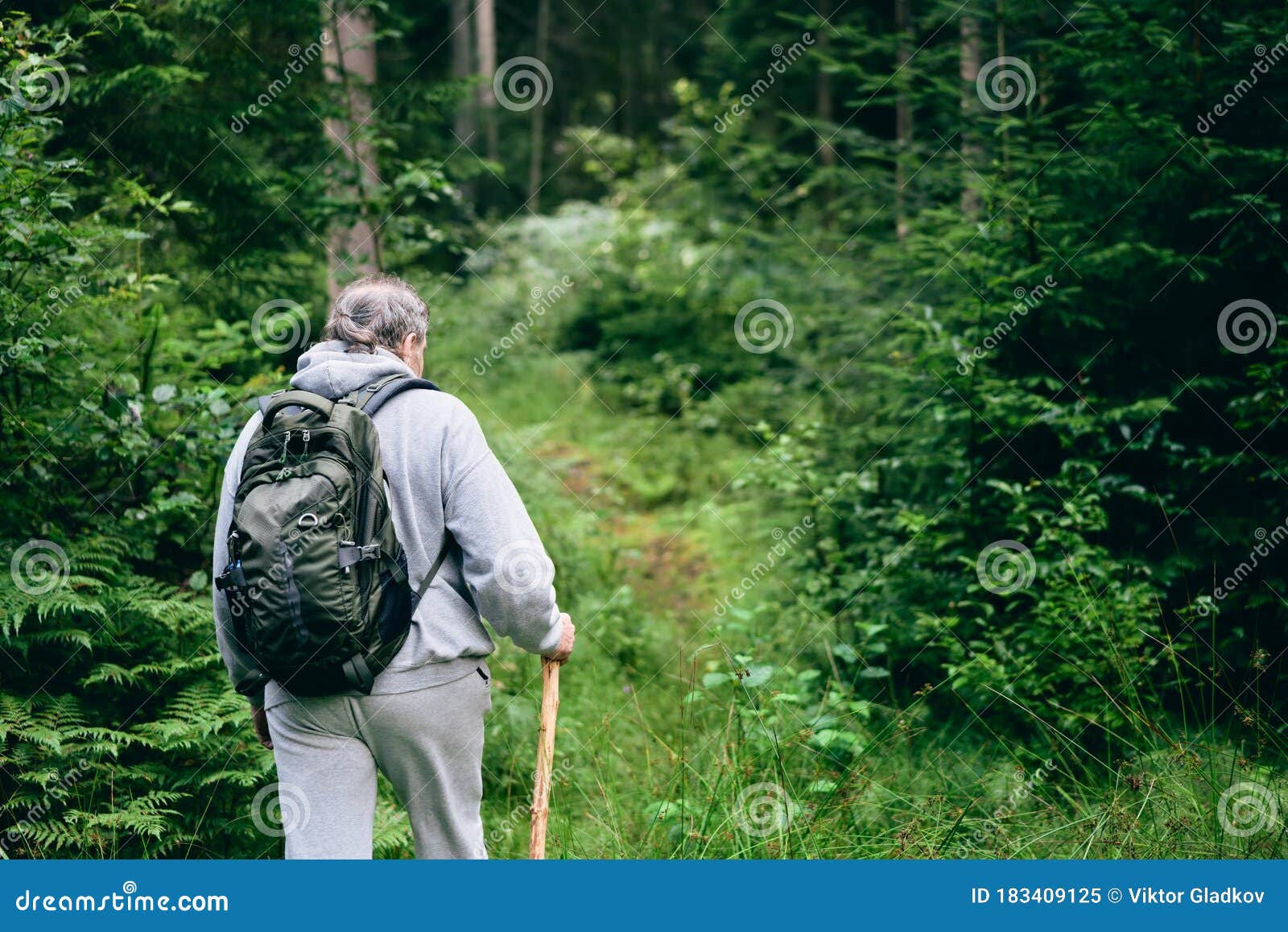 Walking in Forest. Back View of Man Going through the Woods Stock Image ...