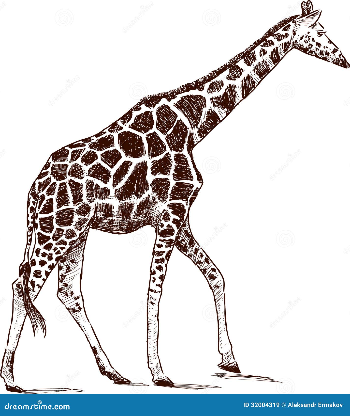 Walking giraffe stock vector. Illustration of hand, giraffe - 32004319