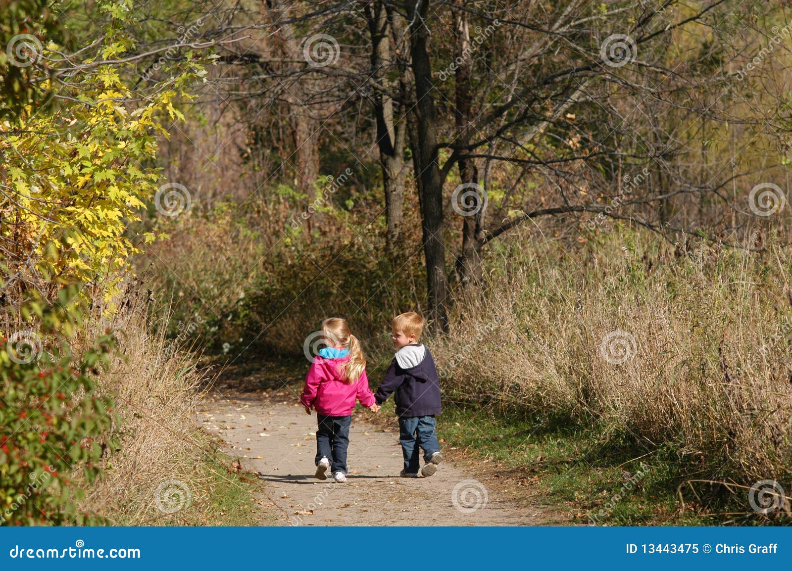 Walking Hand in Hand stock image. Image of friend, brother - 13443475