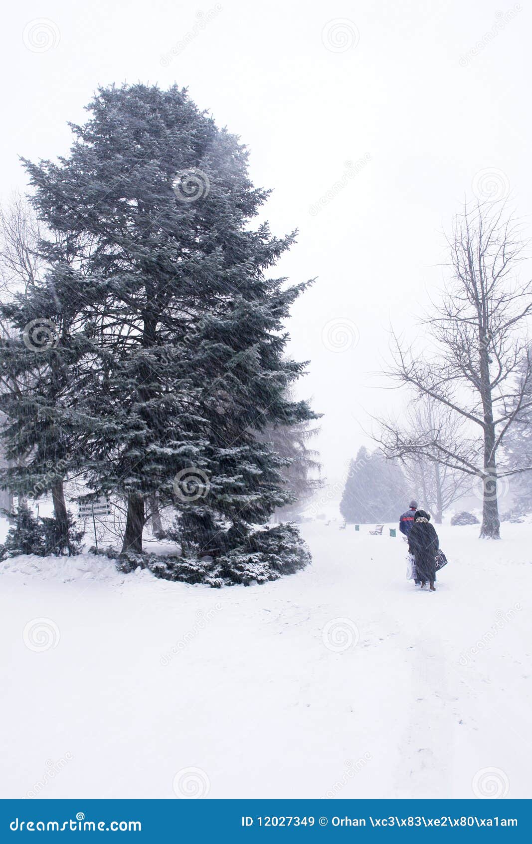 Walking in heavy snow stock image. Image of leaves, park - 12027349