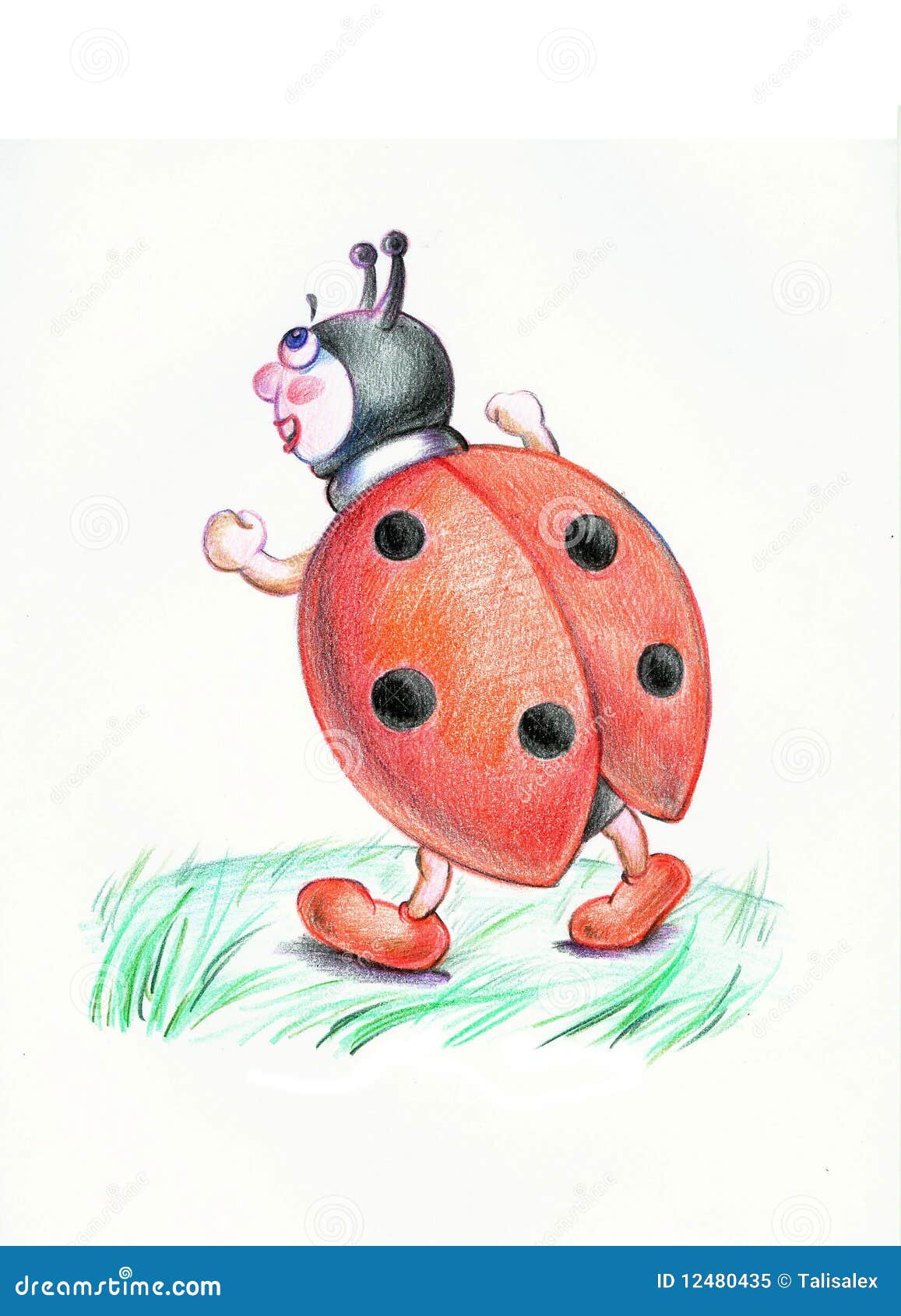 Walking Ladybug Illustration Stock Illustration - Illustration of life ...
