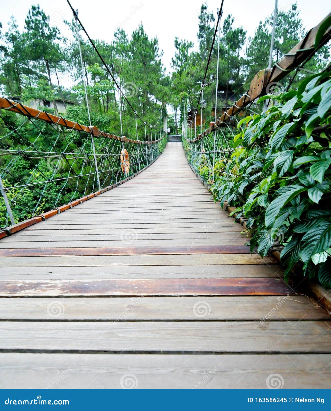 Walking the Lonely Path To the End of the Road Stock Image - Image of ...