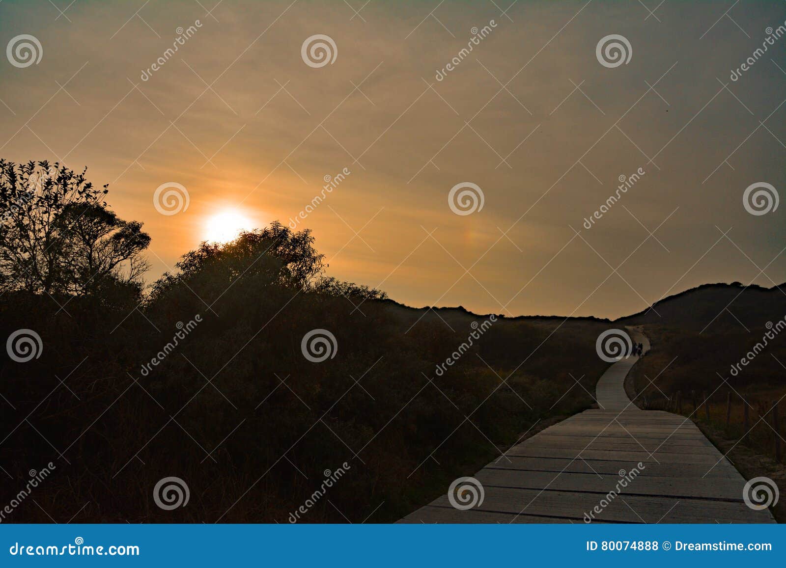 Walking on a Long Path in the Sunset in Autumn Stock Photo - Image of ...