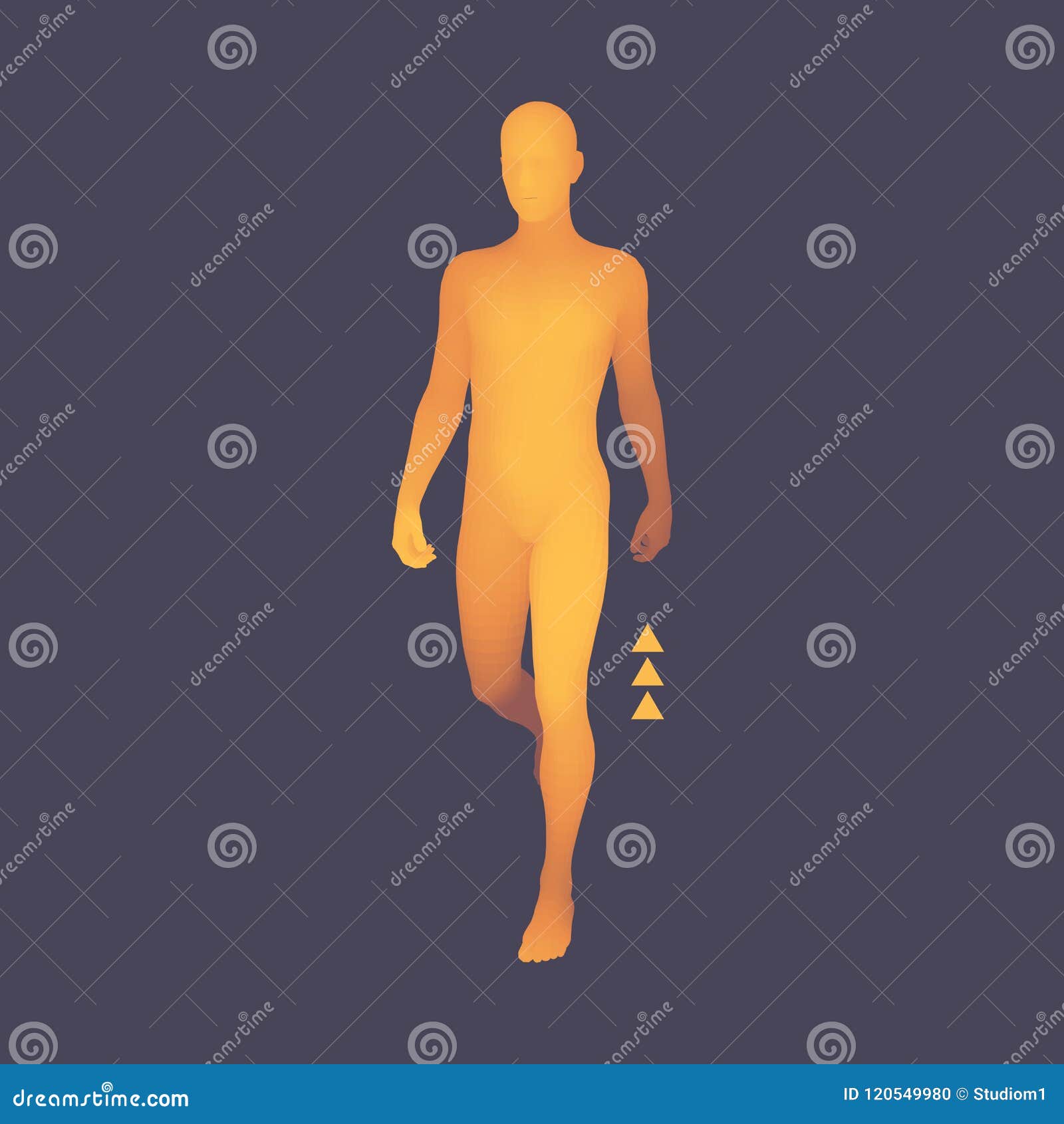 Walking Man. 3D Human Body Model. Design Element. Vector Illustration ...