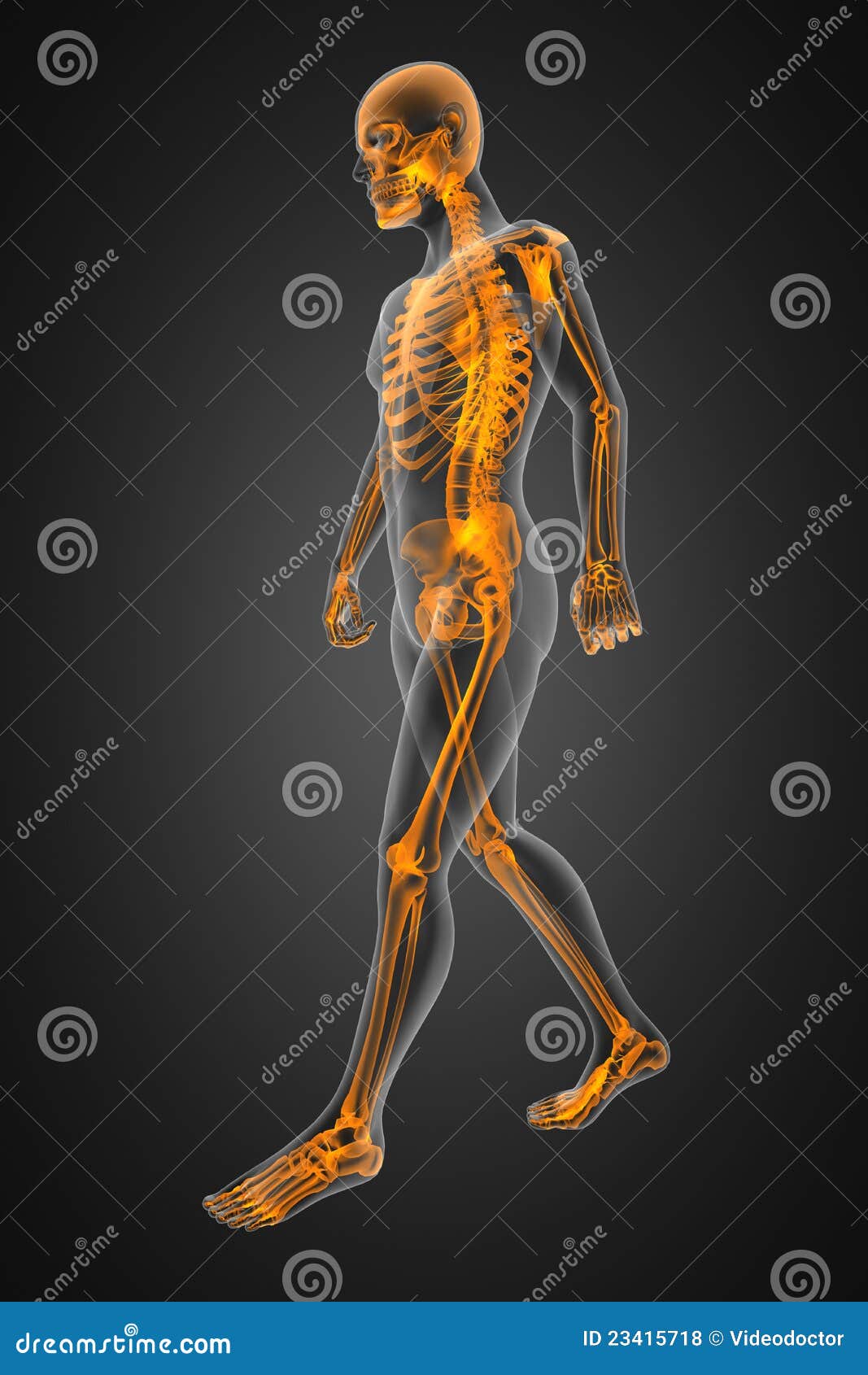 F1 Car Radiography Royalty-Free Stock Photography | CartoonDealer.com ...