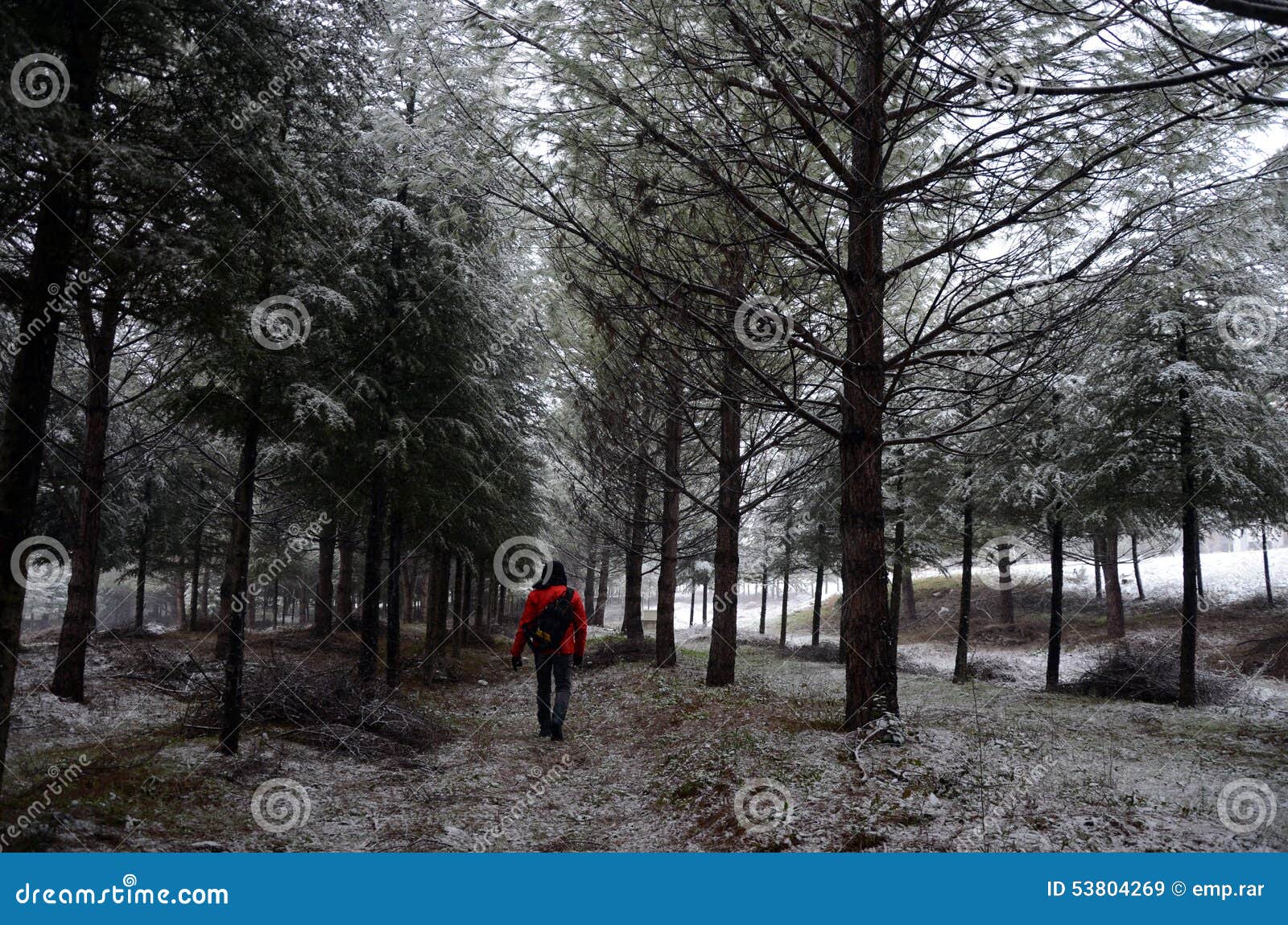 Walking man stock image. Image of trees, walkingaway - 53804269